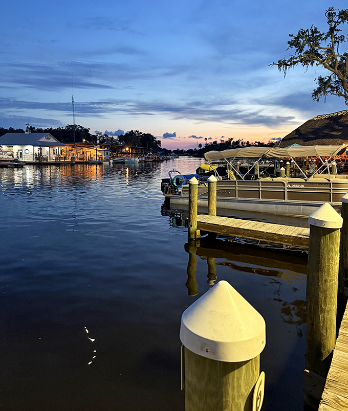 As day fades to dusk, the Homosassa River transforms into a mirror of tranquility, reflecting both the sky and your good life choices.