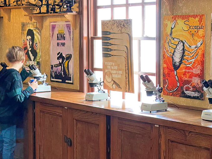 Young visitors often show the greatest wonder, discovering secret tiny worlds that remain invisible without these specialized viewing tools.