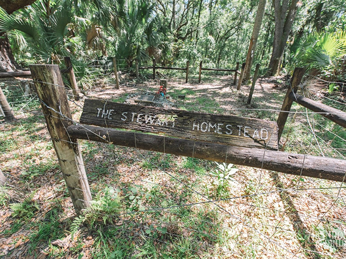 A simple fence encircles sacred ground, separating the Stewart family's eternal rest from the forest that continues to thrive.