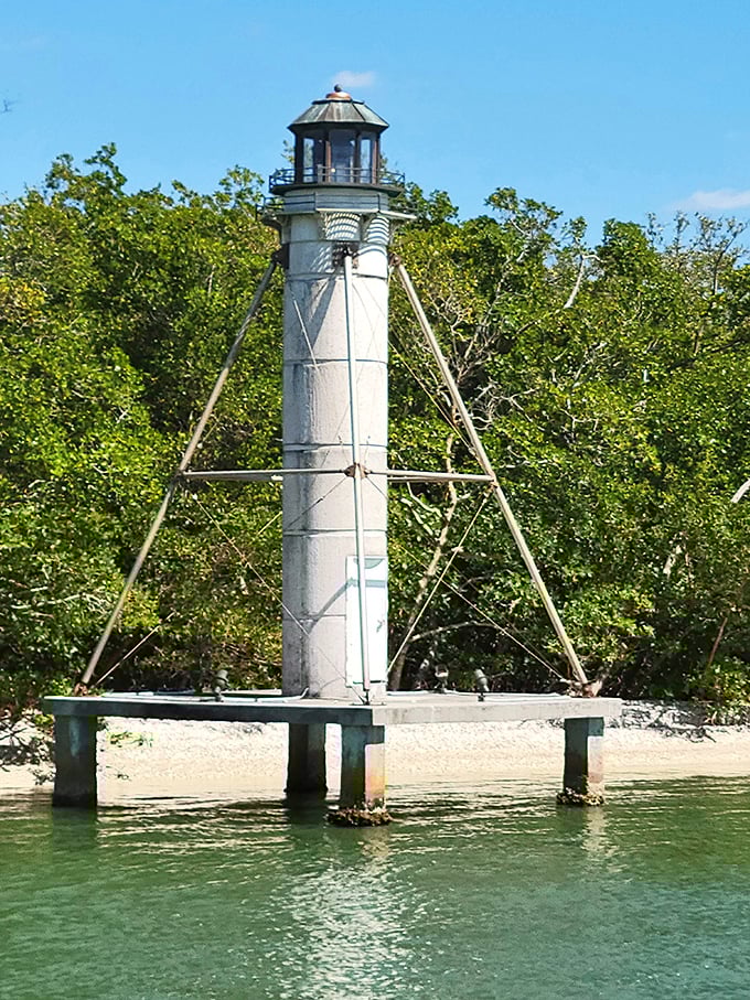 This historic lighthouse stands as a sentinel in the mangroves, a reminder of Naples' maritime heritage and navigational importance.