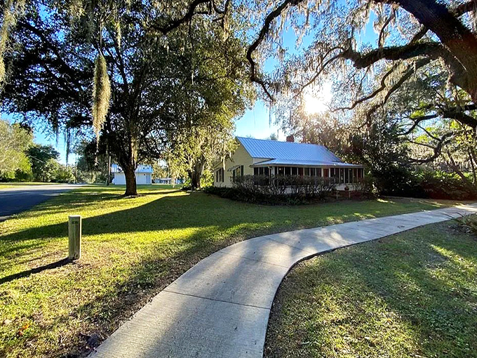 Nestled among the giants, homes enjoy nature's finest landscaping&mdash;shade, beauty, and the gentle rustle of leaves as background music.
