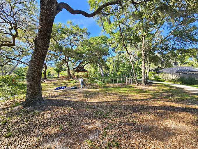 Dappled sunlight plays across this clearing where ancient oaks stretch their limbs, creating nature's most inviting living room.