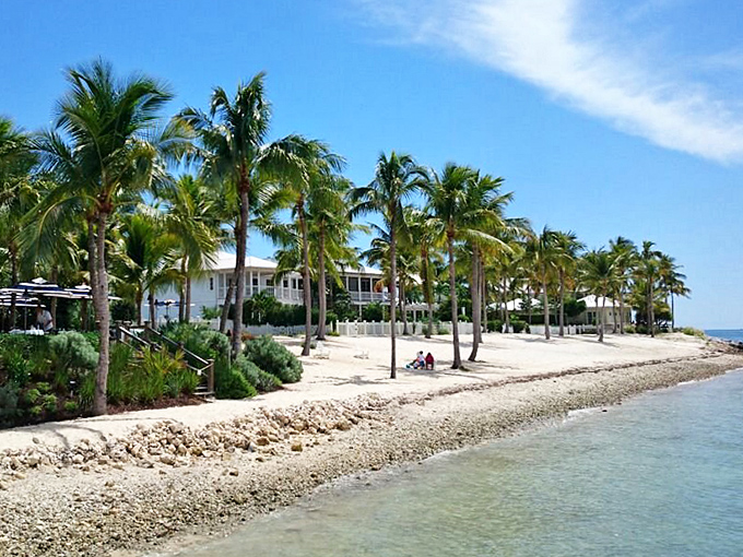 Palm trees stand tall like nature's exclamation points, their fronds dancing to the rhythm of island breezes and distant waves.