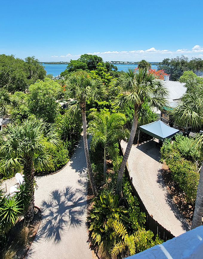 A canopy of palms creates nature's perfect ceiling, filtering sunlight into a dappled dance that changes with every gentle island breeze.