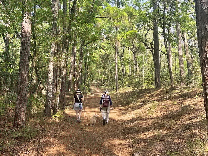The Story of Leno exhibit showcases vintage mill equipment &ndash; industrial artifacts from when this ghost town was the bustling heart of local commerce.