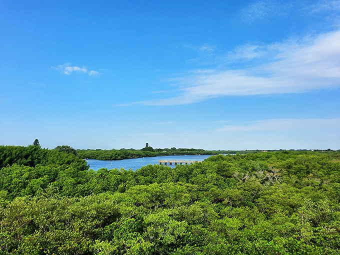 This view could grace any Florida tourism brochure &ndash; pristine waters meeting untouched shoreline under a perfect blue sky.
