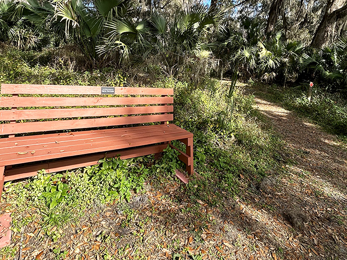 The red bench offers a moment of contemplation among the greenery &ndash; nature's version of a timeout, but one you'll actually enjoy.