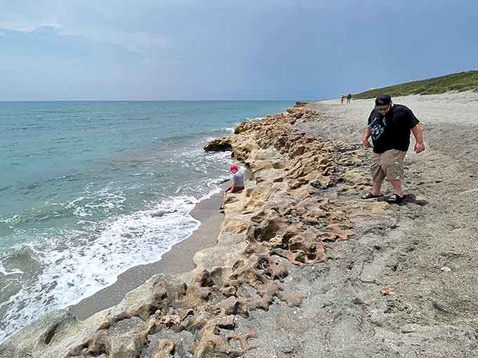 Where curious explorers meet geological wonders. The preserve invites visitors to discover tide pools and formations shaped by thousands of years.