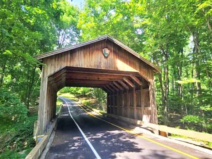 Driving through this tunnel feels like entering a secret passageway to somewhere magical, which isn't far from the truth.