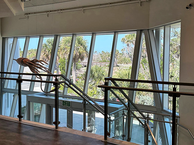 Sunlight streams through architectural windows, creating a perfect backdrop for the suspended sea creature model &ndash; museum design at its most thoughtful.