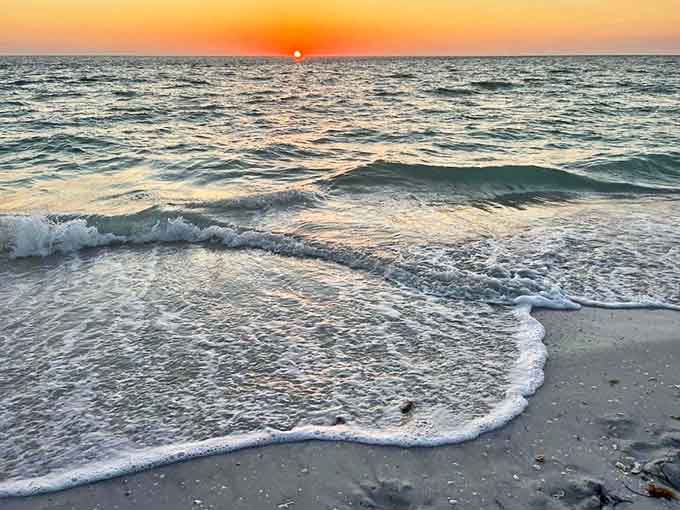 This sunset puts on a better show than anything streaming on television, and the subscription is absolutely free with no annoying ads.