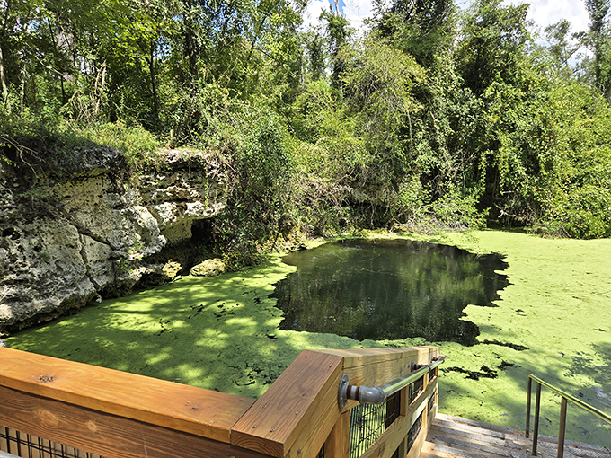 Nature's own green screen surrounds this spring, creating a backdrop that no Hollywood set designer could improve upon.