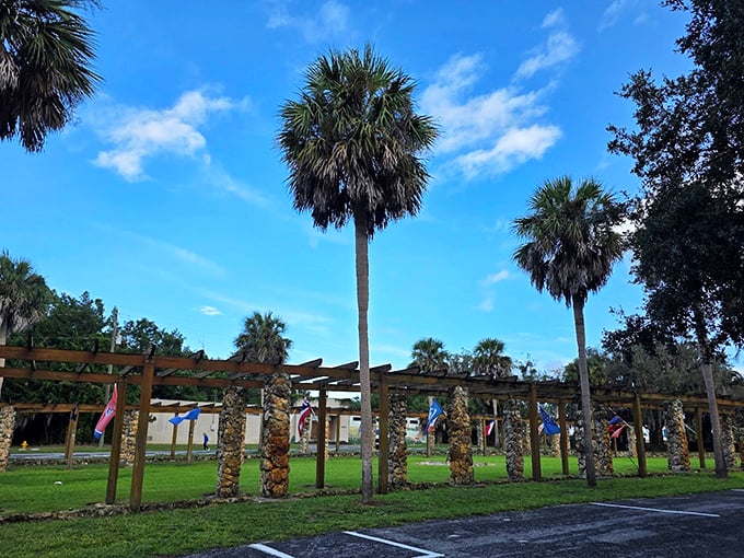 Towering palms stand sentinel over the landscape. Florida's natural skyscrapers making Manhattan look unimaginative!