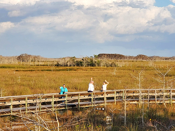 Visitors line the railing, pointing excitedly at distant wildlife &ndash; proof that in the age of digital entertainment, nature still knows how to captivate an audience.