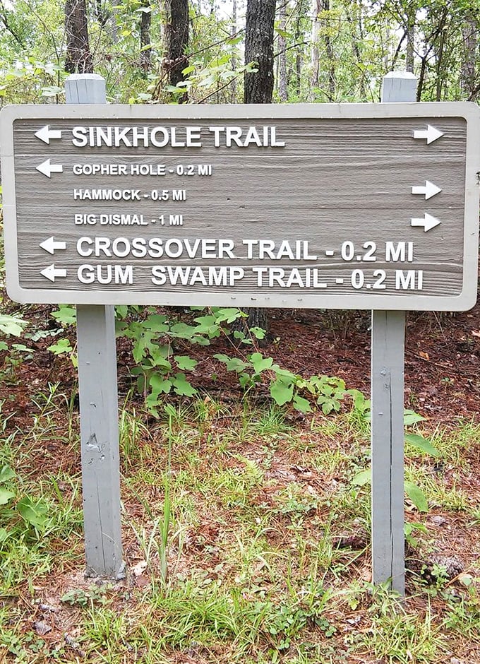 Trail signs point the way to various sinkholes, each with its own unique character.