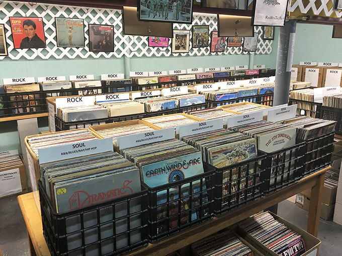 Vinyl hunters flip through history one album at a time, each cover art a time capsule of graphic design from when music was something you could hold.