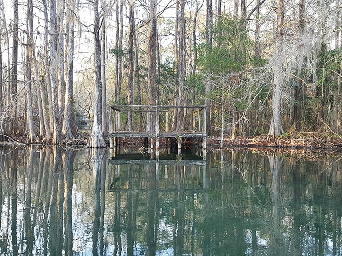 The wetland edges host a bustling community of turtles, birds, and fish – nature's version of a lively neighborhood block party.