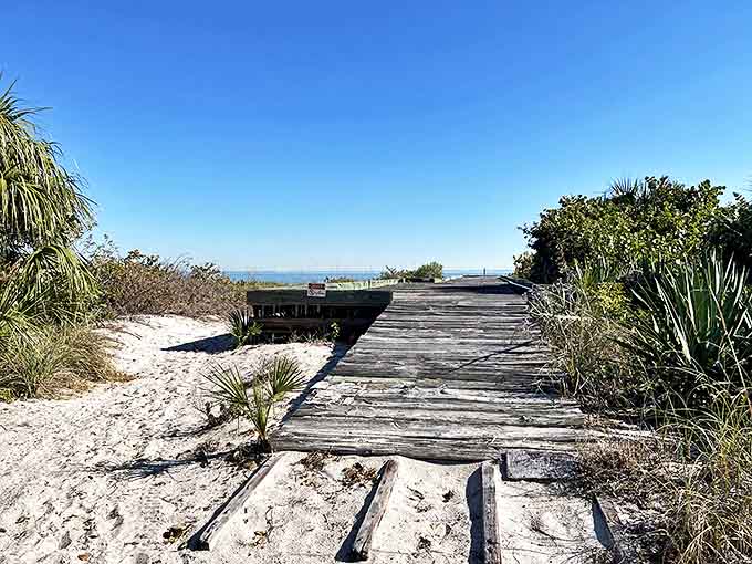 A weathered wooden boardwalk stretches toward the horizon, inviting visitors to venture further into the island's natural embrace.