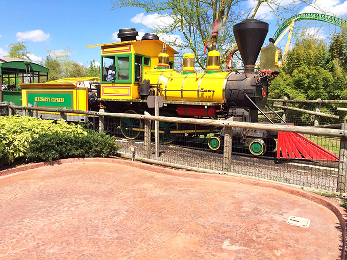 3ft Narrow Gauge Steam Train: This sunshine-yellow locomotive combines old-world charm with modern reliability, ready to transport you to wild animal encounters.