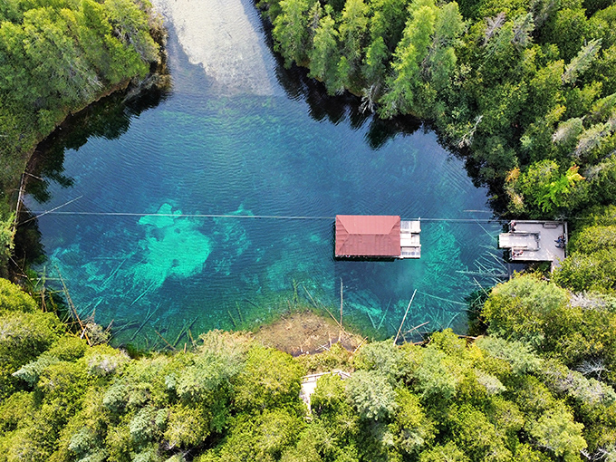 From above, the spring appears as a perfect emerald jewel set within Michigan's forested crown, its viewing platform floating like a tiny island.
