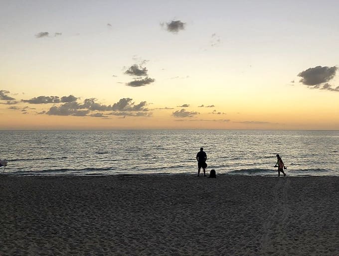 Golden hour at the beach, where even the dog knows this is the perfect time for a contemplative stroll.