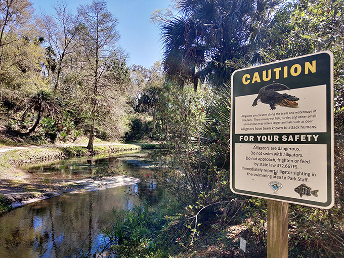 A sobering reminder that even in paradise, prehistoric predators lurk &ndash; this sign warns visitors about the park's occasionally toothy residents.
