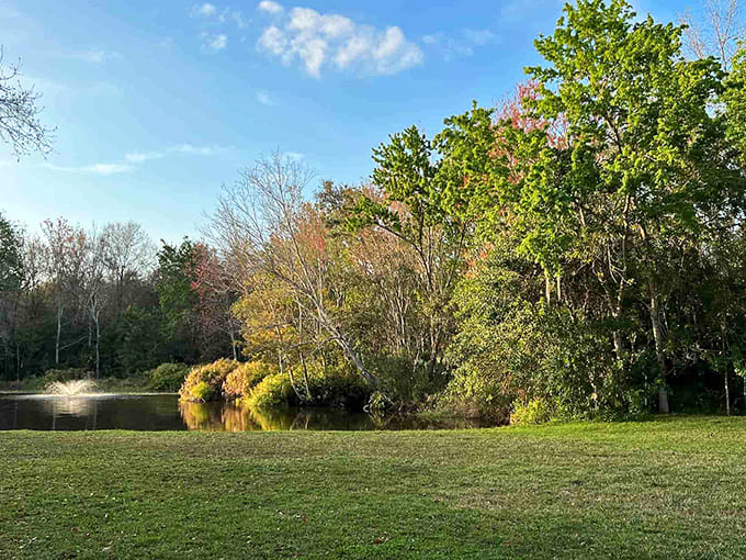 Beyond the haunted halls lies this serene pond view. Nature provides a peaceful counterpoint to the delightful macabre inside.