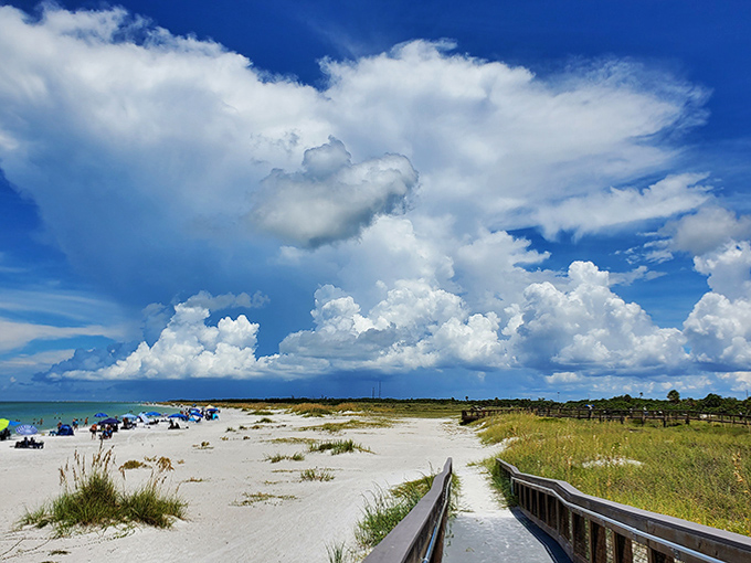 The perfect Florida day: impossibly blue skies, powdery white sand, and the knowledge that your dog is having the time of their life.