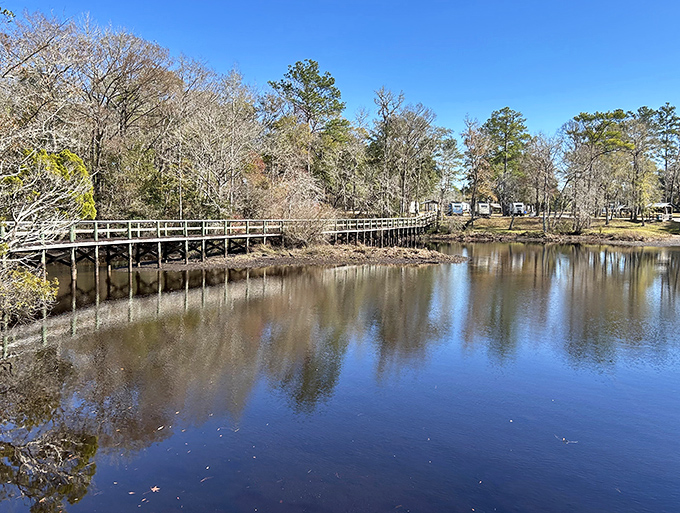 This weathered boardwalk invites visitors to venture over wetlands without getting their sneakers soaked or disturbing delicate ecosystems.