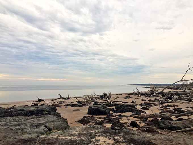 Where ocean meets driftwood, nature creates compositions that professional artists spend their whole lives trying to replicate, and this beach has them in abundance.