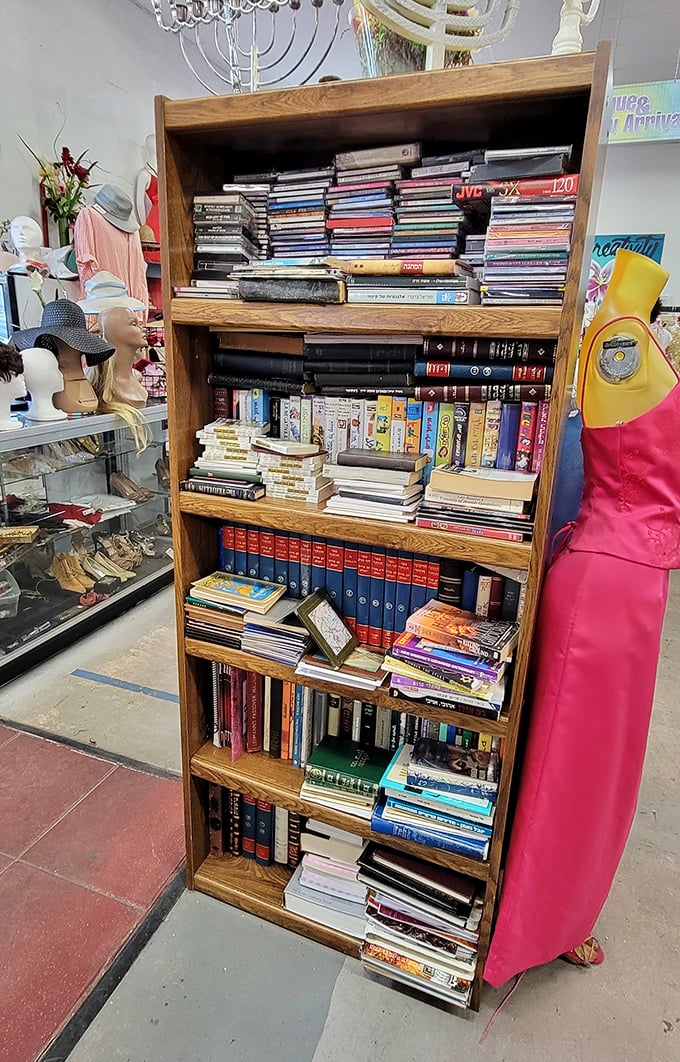 Literary heaven for bookworms &ndash; shelves packed with everything from vintage encyclopedias to paperback thrillers, each spine promising new worlds to explore.