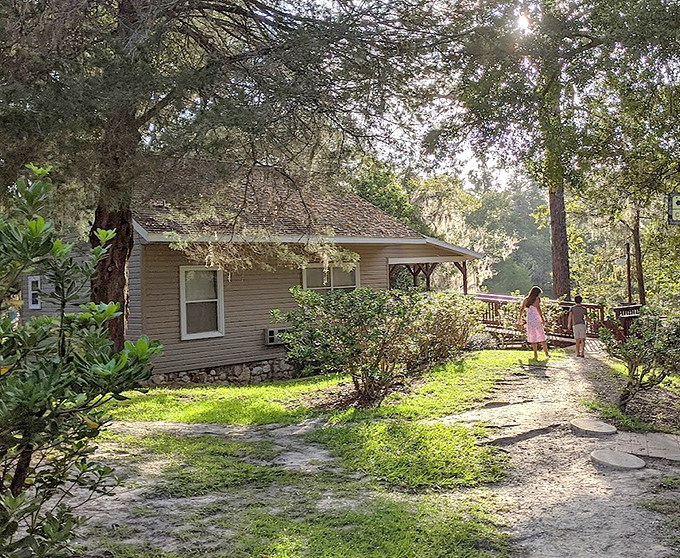 Cabin: This charming woodland retreat promises sweet dreams just steps away from one of Earth's most magical swimming holes.