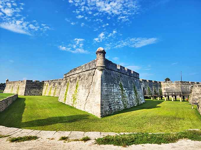 Massive coquina walls that absorbed cannonballs like sponges. The world's first "smart" building material, centuries before its time.