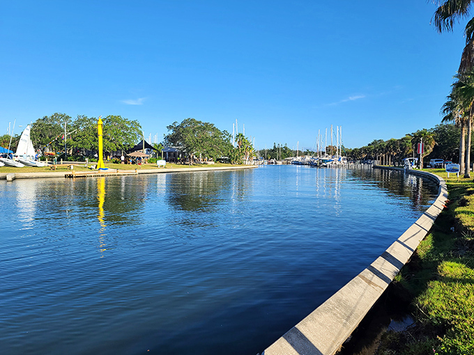 Clam Bayou Nature Park's serene waterway reflects Florida's brilliant blue skies, creating a peaceful haven for kayakers and wildlife enthusiasts just minutes from downtown.