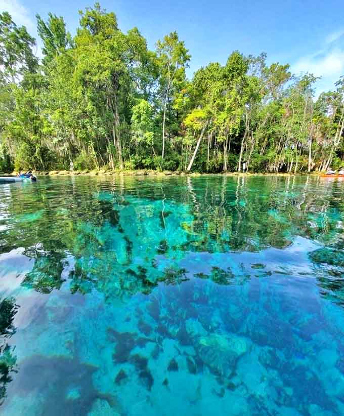 Mirror, mirror in the springs &ndash; reflecting a perfect Florida day where every angle deserves its own postcard.