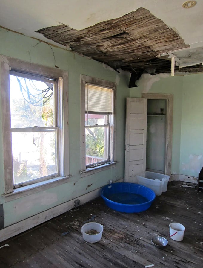 Nature finds a way in everywhere, even through this ceiling that once protected Jacksonville's elite from Florida's temperamental weather.