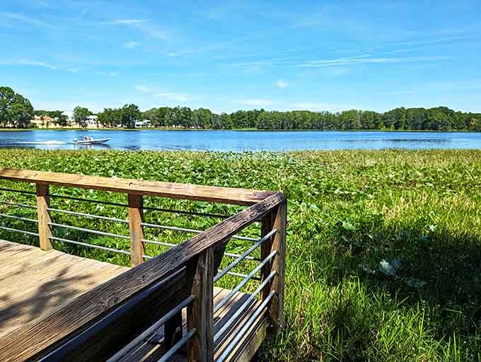 Decks provide front-row seating to nature's ongoing performance, no tickets required and the show never gets old.
