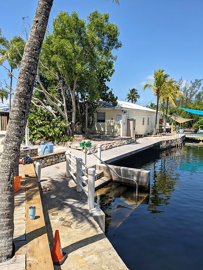 The dock area serves as the terrestrial gateway to underwater adventures &ndash; last chance for dry hair selfies!