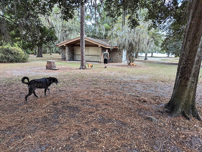 Historic stone pavilions provide charming backdrops for dog walks, blending Florida's natural beauty with thoughtful park amenities.