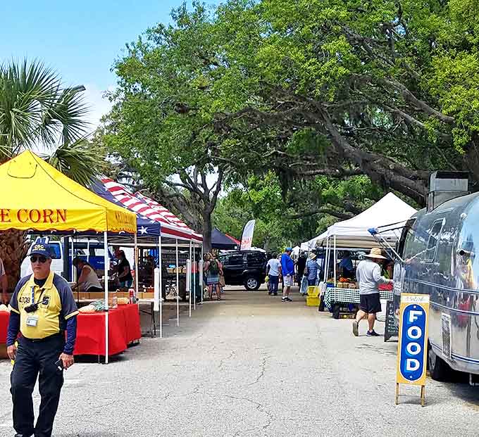 Farmers markets under ancient oaks prove that the best shopping happens outdoors with local vendors and fresh air.
