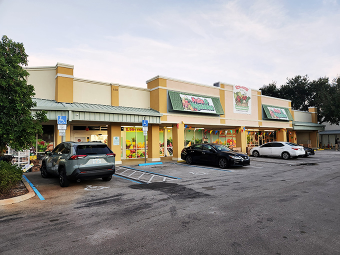 Farmers Market vendors create a kaleidoscope of local flavors, where conversations with growers season each purchase with community connection.