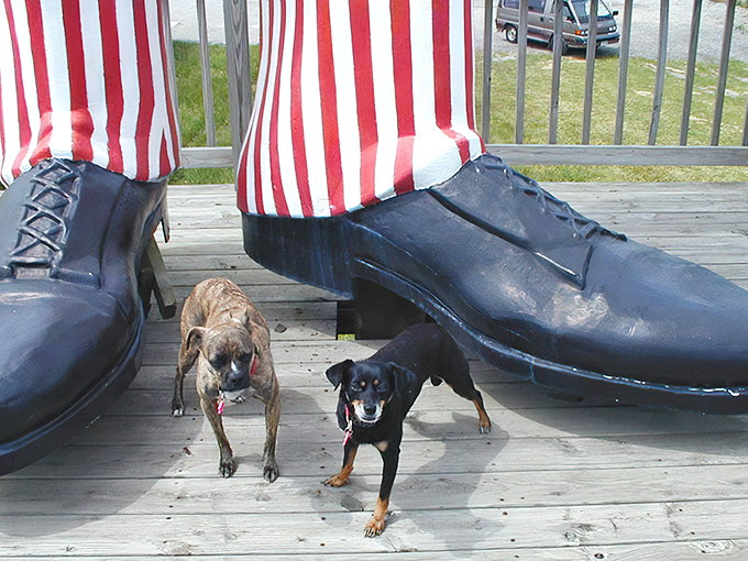 Even Uncle Sam's massive shoes get attention from visitors and their four-legged friends, providing unique perspective on this towering figure.