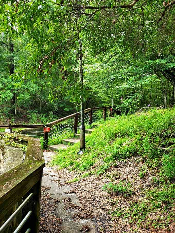 The shaded trail invites visitors deeper into Florida's natural beauty, a refreshing escape from summer heat and modern distractions.