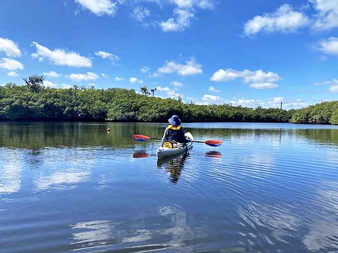 Paddlers glide through liquid glass, experiencing the park from a turtle's-eye view as they navigate the gentle current of the Santa Fe.