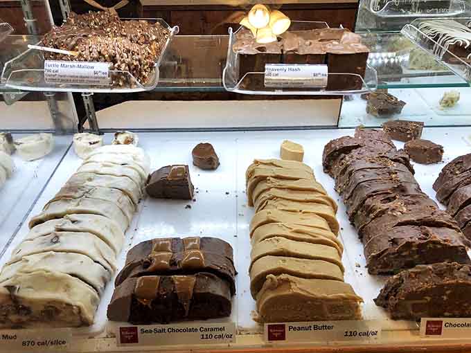 Fudge varieties lined up like delicious dominos – each flavor promising a different path to the same destination: pure bliss.