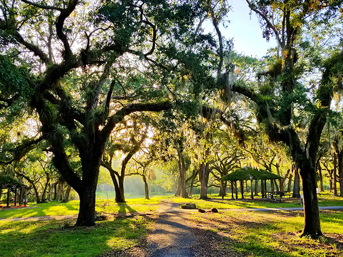 Cathedral-like canopies of live oaks create natural rooms filled with dappled sunlight and childhood adventures waiting to happen.