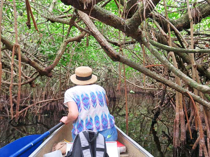 Nature's own secret passage beckons adventurers into a green-filtered world where time seems to slow with each paddle stroke.