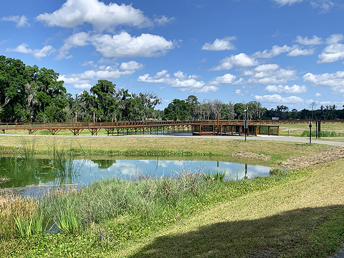 Ocala Wetland Recharge Park's boardwalk invites exploration of restored ecosystems &ndash; conservation you can walk through and experience firsthand.