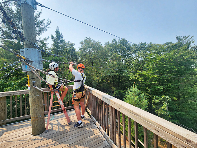 Patient guidance on the platform helps adventurers feel ready, secure, and excited before taking that first leap.