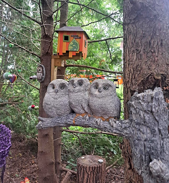 Owl Display: Three wise owls keeping watch over their orange birdhouse - the forest's security system runs on wide-eyed vigilance.